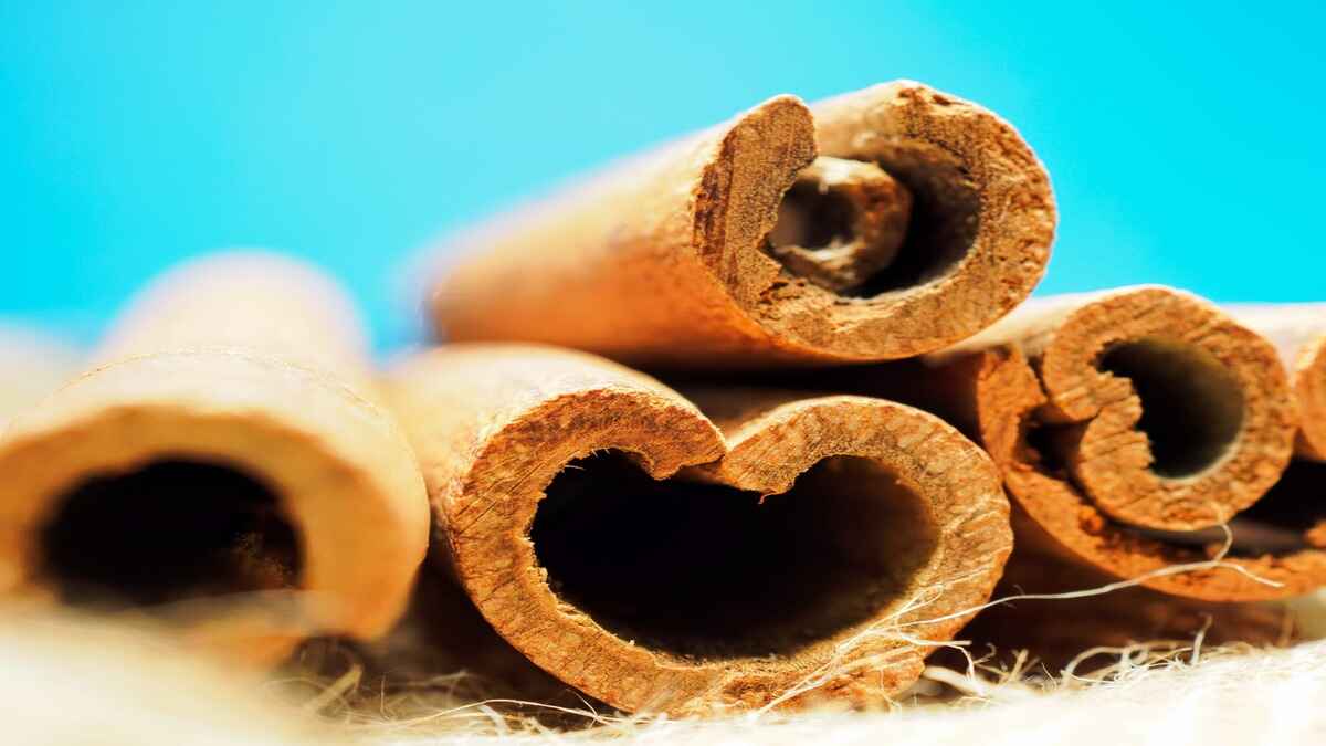 National Cinnamon Day - November 1st | Mind Classic